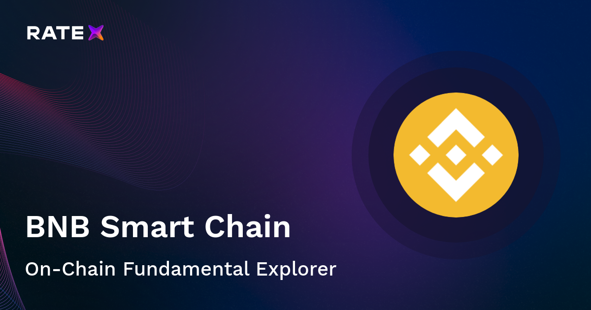 BNB Smart Chain On-Chain Fundamental Explorer & On-Chain Rank